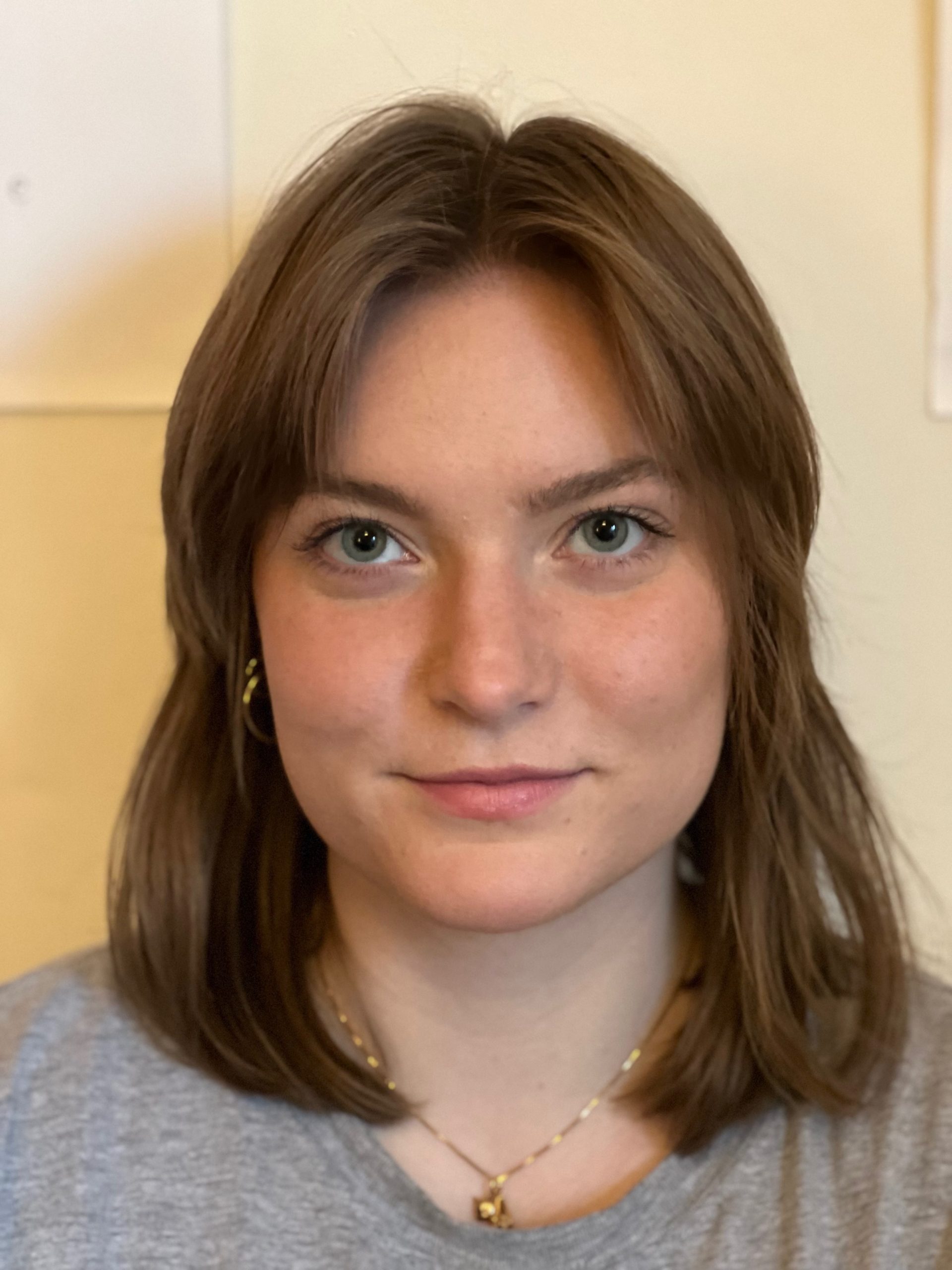 The will to achieve gender equality and equal opportunities defines the ...